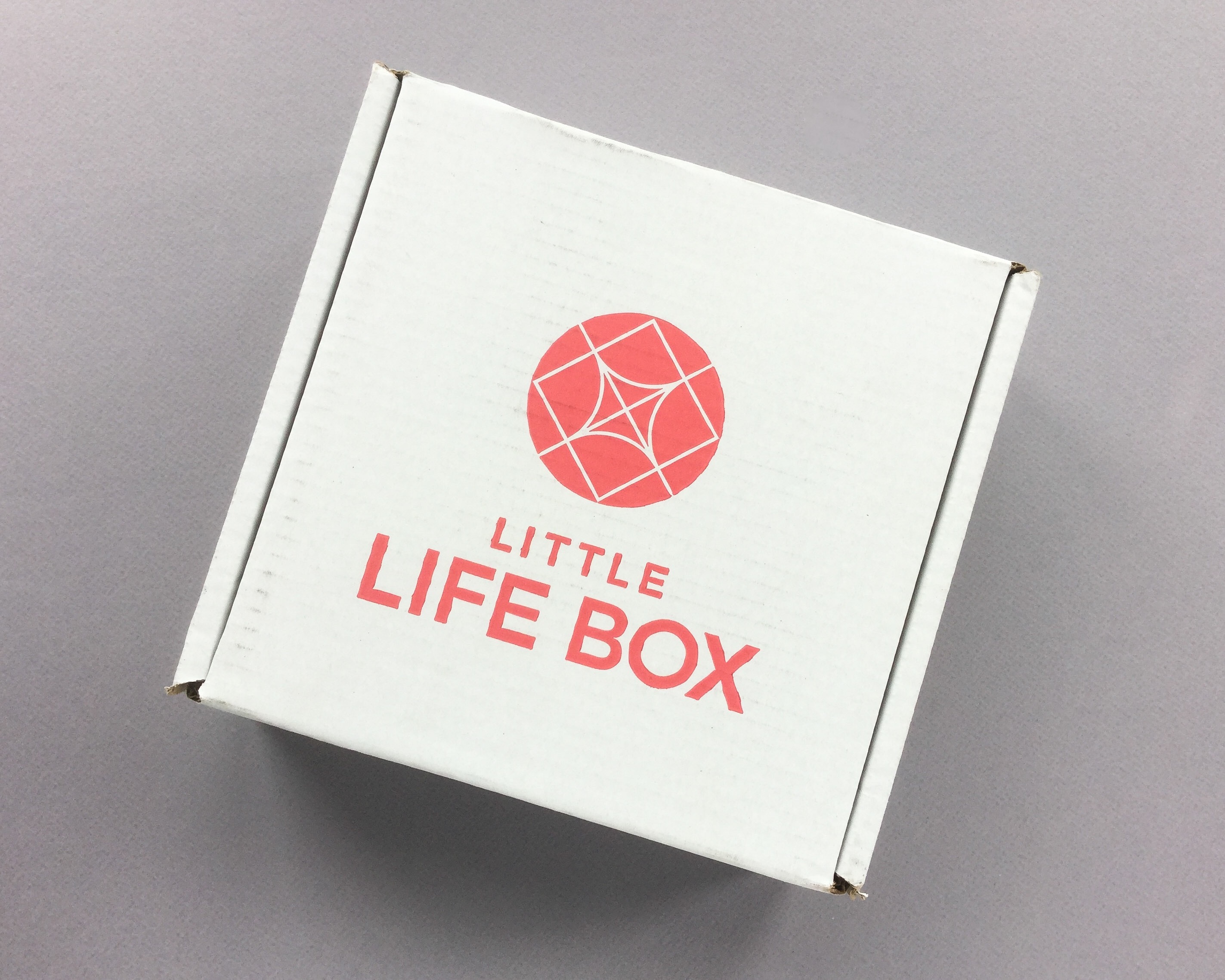 Little Life Box Subscription Box Review + Promo Code - July 2018 | Girl ...
