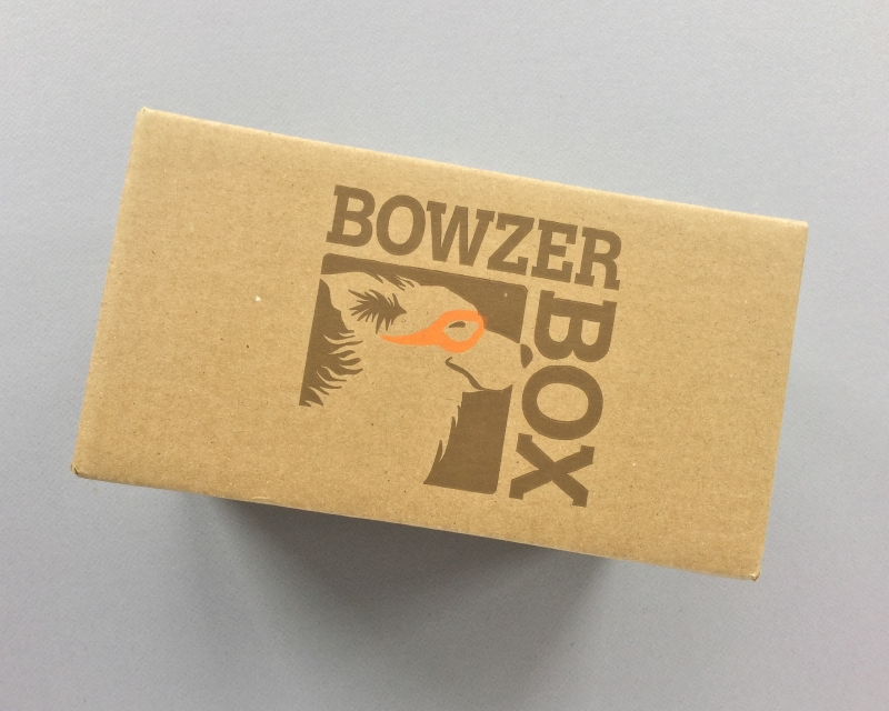 Bowzer Box Review + Discount Code - October 2018 | Girl Meets Box