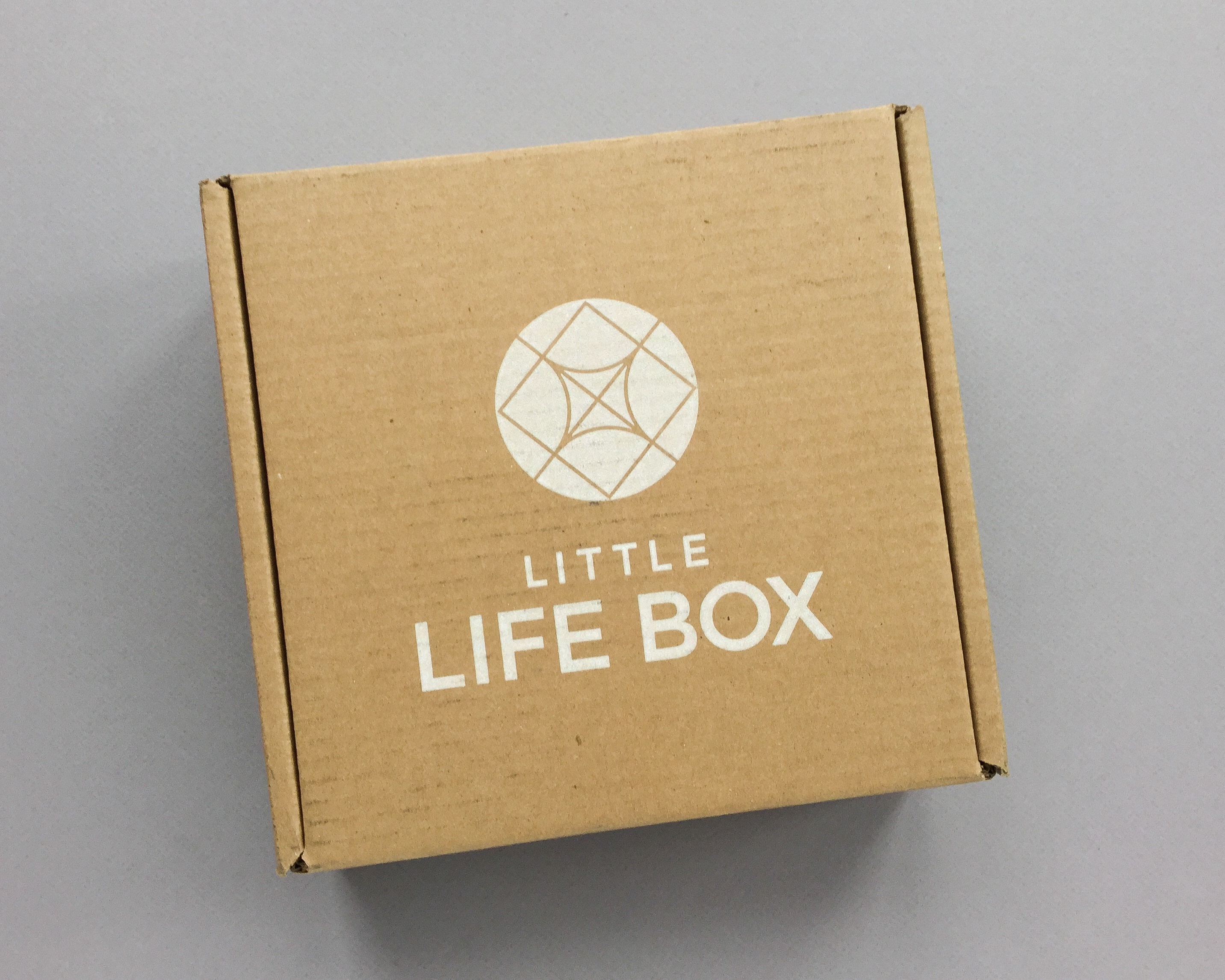 Little Life Box Subscription Box Review + Promo Code - January 2019 ...